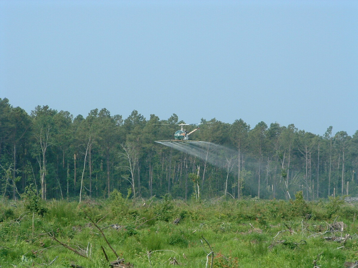 Flight Operations – Summit Helicopters